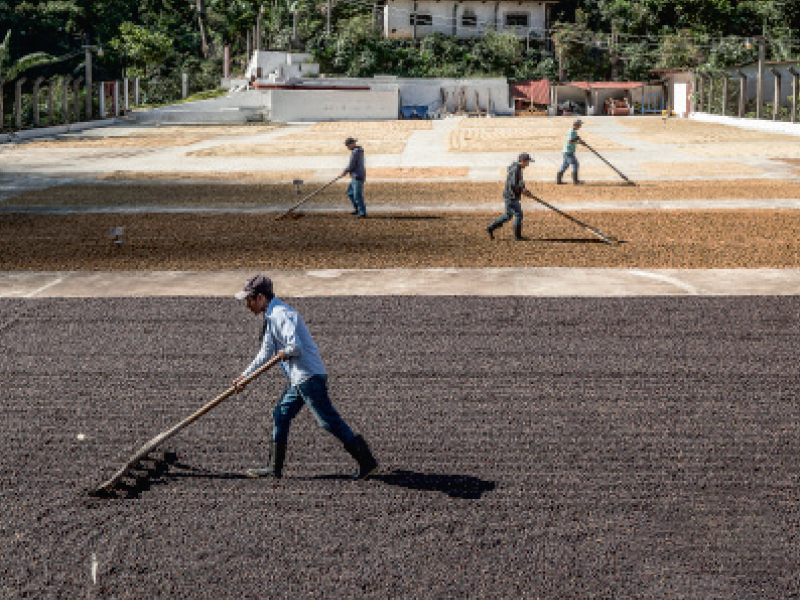 Archives des ELLE à Table - Clara Le Fort