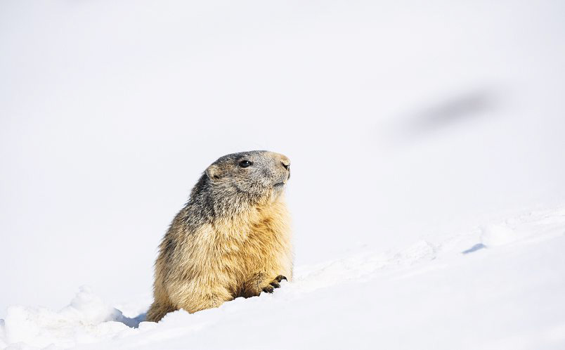 6 stations qui jouent la carte verte - Clara Le Fort