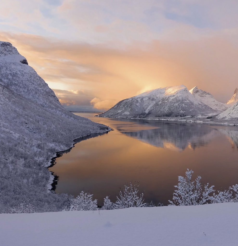 Scenic Routes - Clara Le Fort